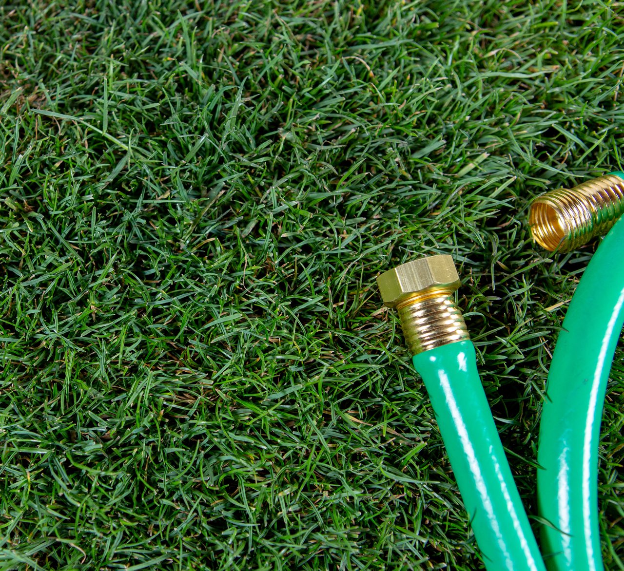 SodLawn:Rye-Blue (90% rye 10% Bluegrass)